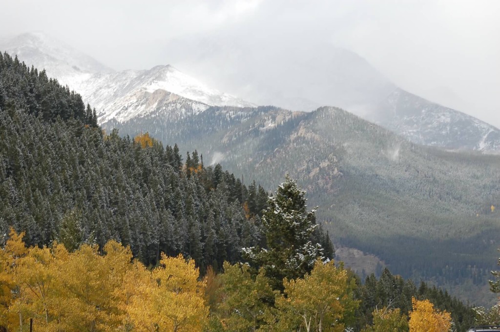 Top 5 Environmentally Influential Places in the US